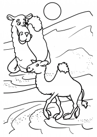 Верблюд. Раскраска — скачать и распечатать. Животные — Дикие животные ...