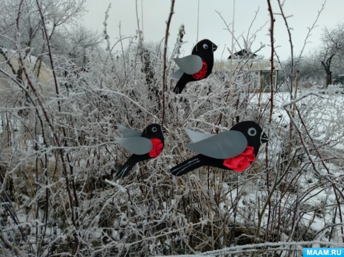 18 декабря. День снегирей на МААМ. Воспитателям детских садов, школьным ...