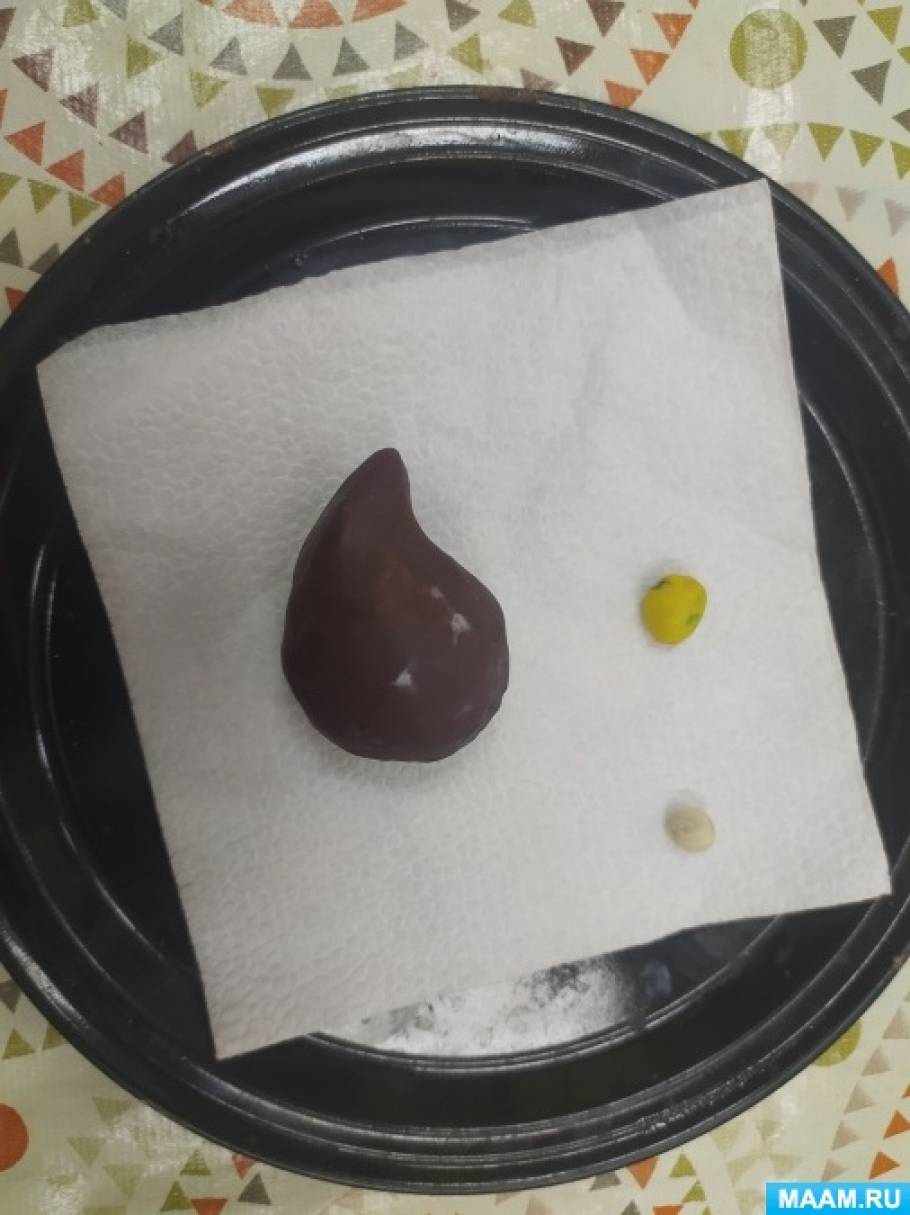 Конспект занятия в средней группе «Ёжик из скорлупы семечек подсолнуха ...