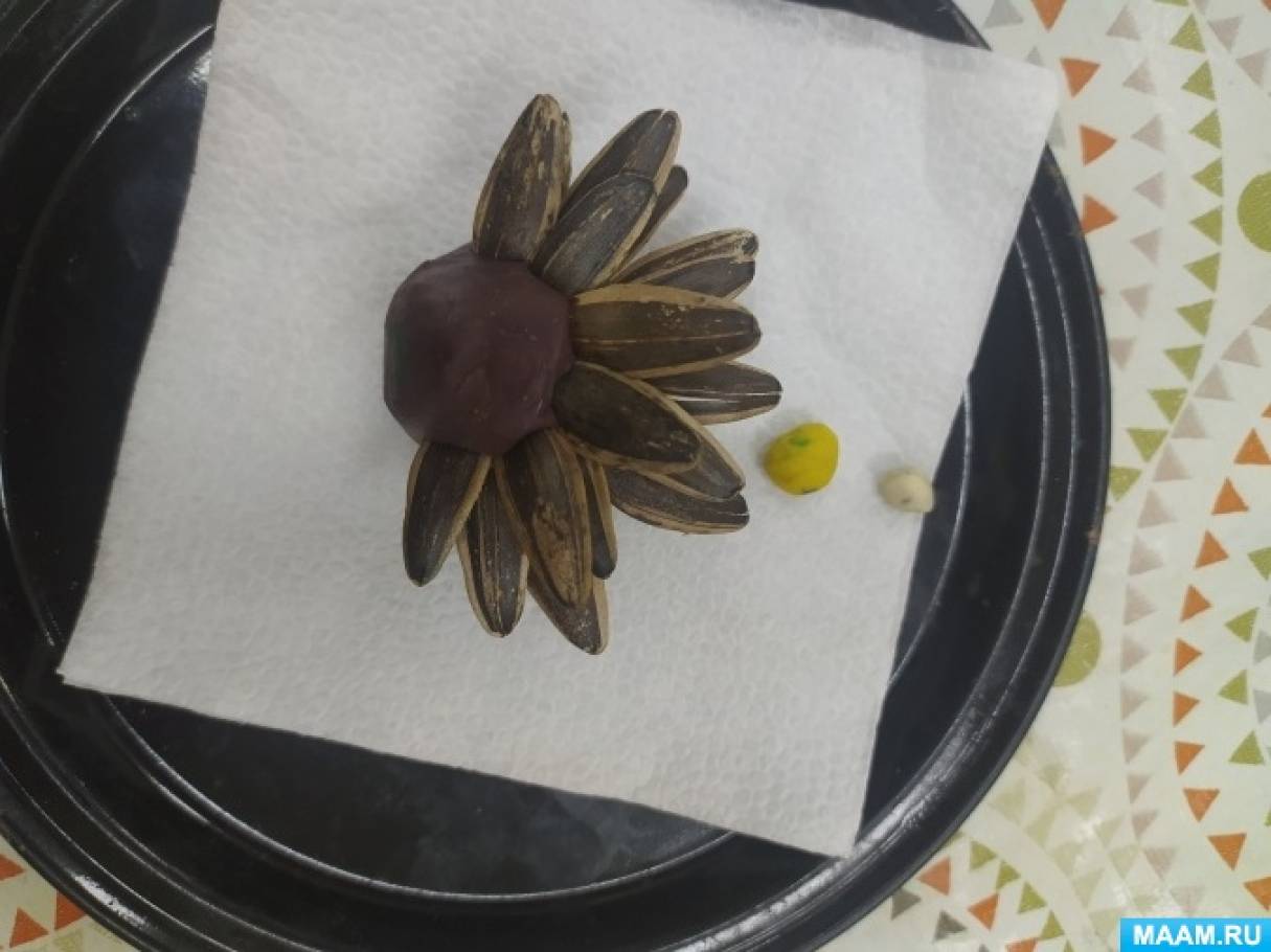 Конспект занятия в средней группе «Ёжик из скорлупы семечек подсолнуха ...