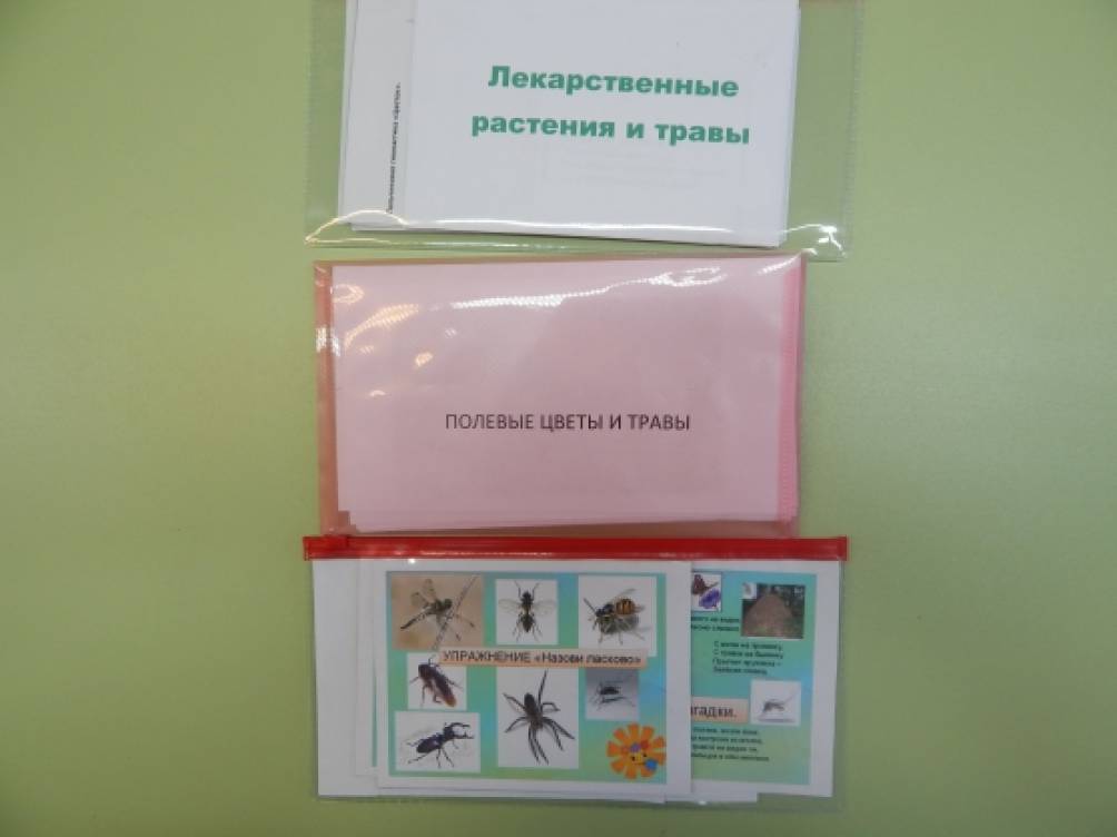 Макет «Поле (насекомые, травы)». Воспитателям детских садов, школьным ...
