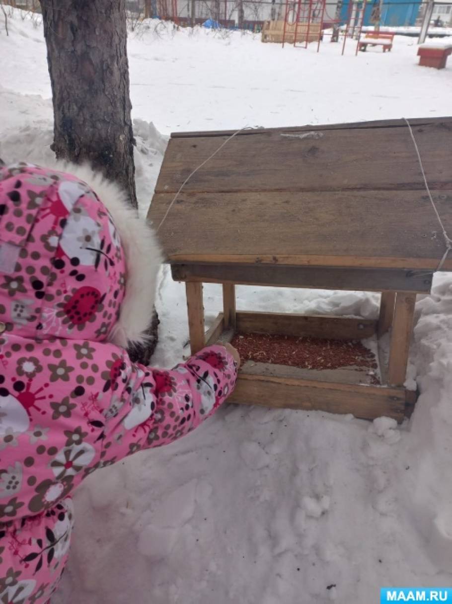 Фотоотчет и стенгазета «Покормим птиц зимой 4 фото Воспитателям детских садов школьным