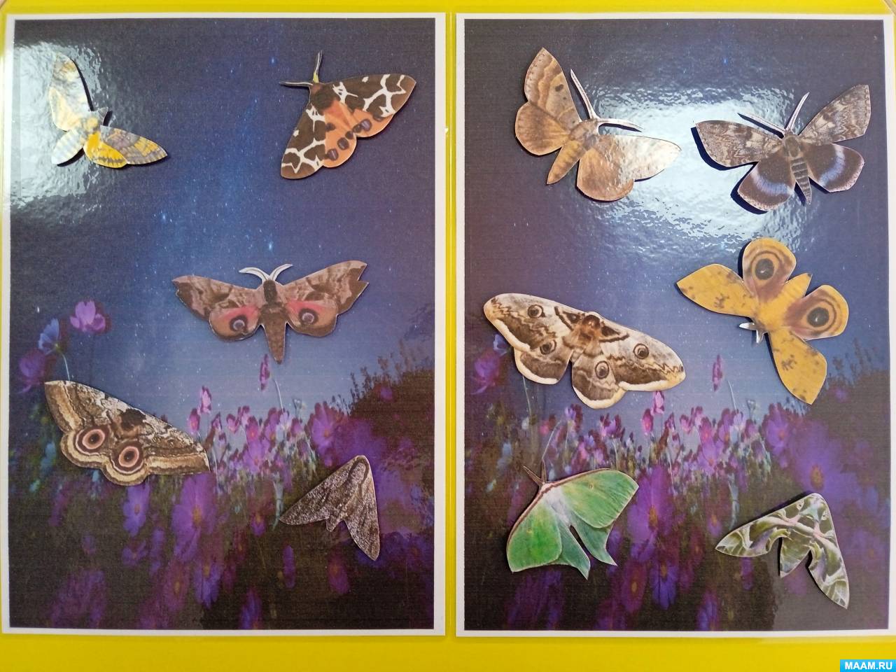 Альбом «Бабочки» (6 фото). Воспитателям детских садов, школьным ...