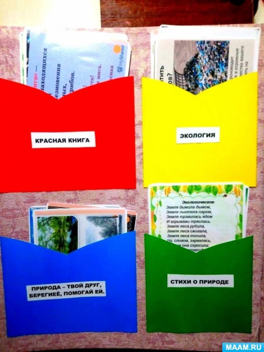 Лэпбук по экологии «Сохраним планету» (7 фото). Воспитателям детских ...