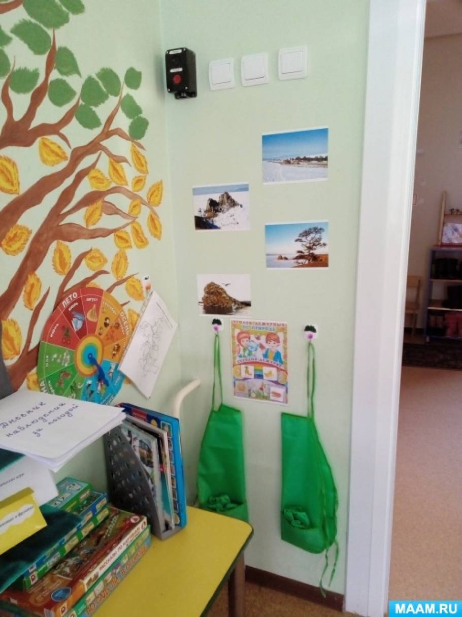 Экологическая среда «Уголок природы» в старшей группе (3 фото ...