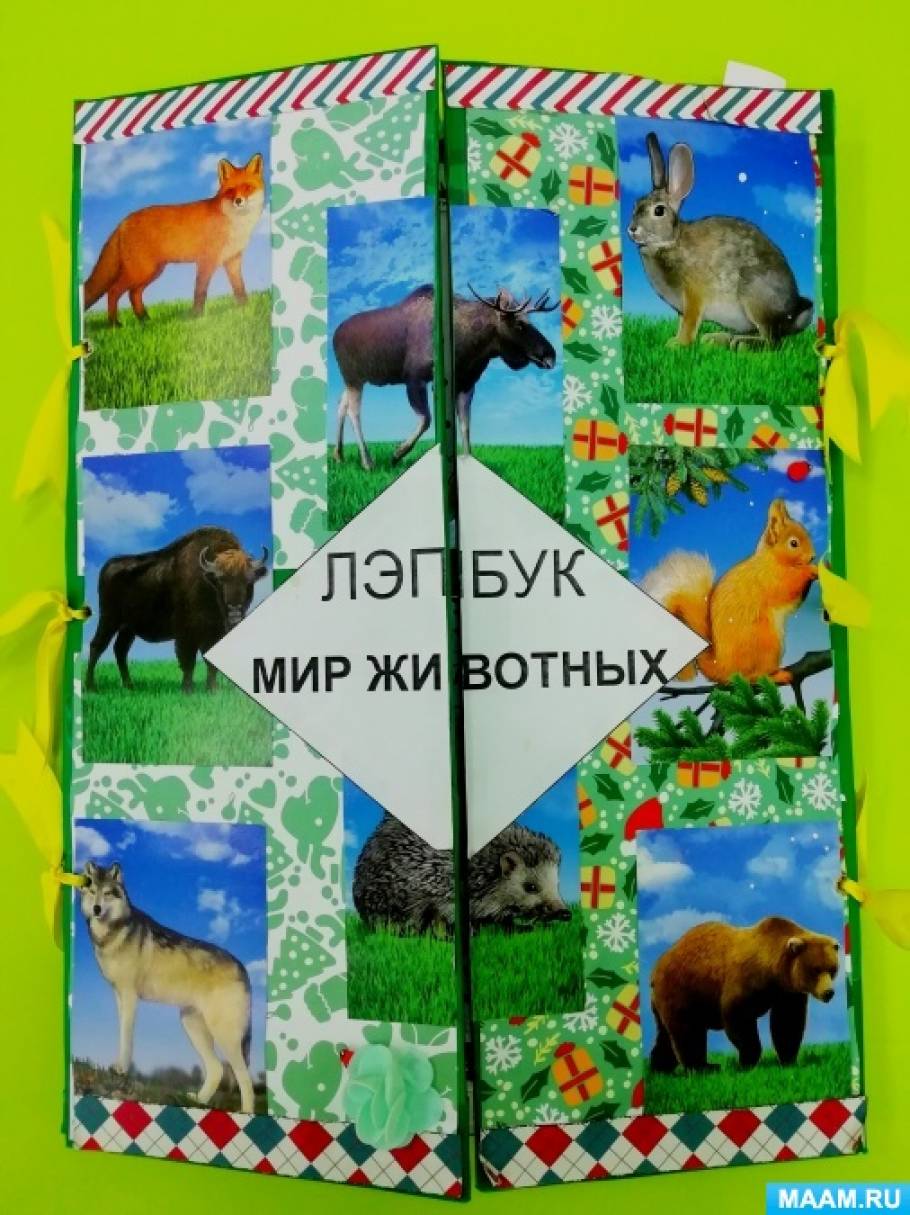 Лэпбук «Мир животных» (12 фото). Воспитателям детских садов, школьным ...