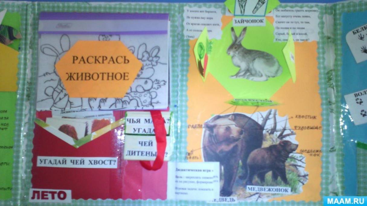 Лэпбук «Дикие животные Уральского леса» (6 фото). Воспитателям детских ...