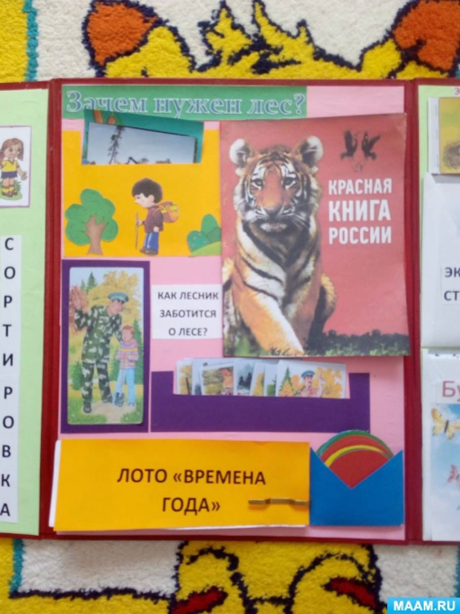 Лэпбук «Экология» (9 фото). Воспитателям детских садов, школьным ...