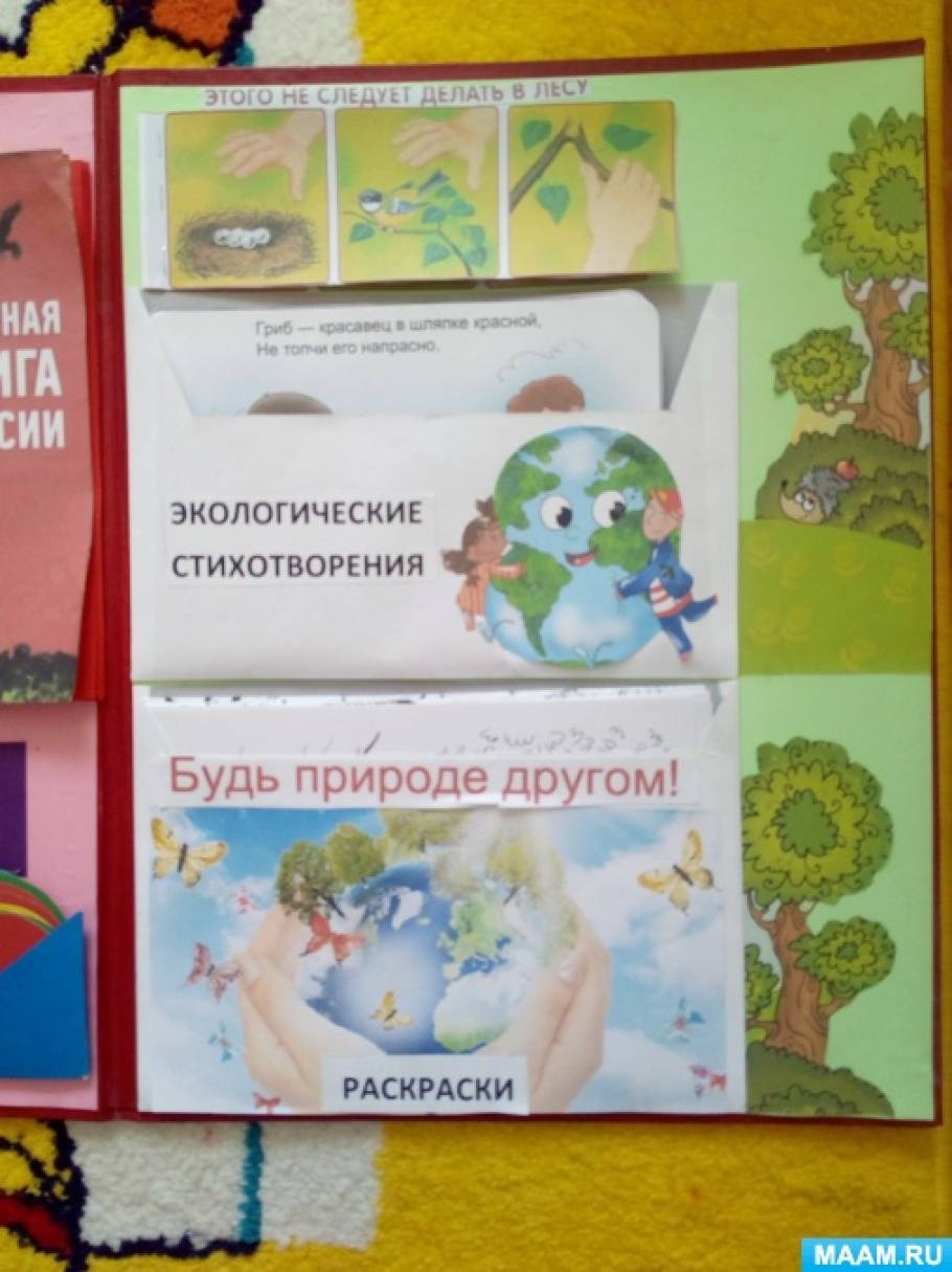 Лэпбук «Экология» (9 фото). Воспитателям детских садов, школьным ...